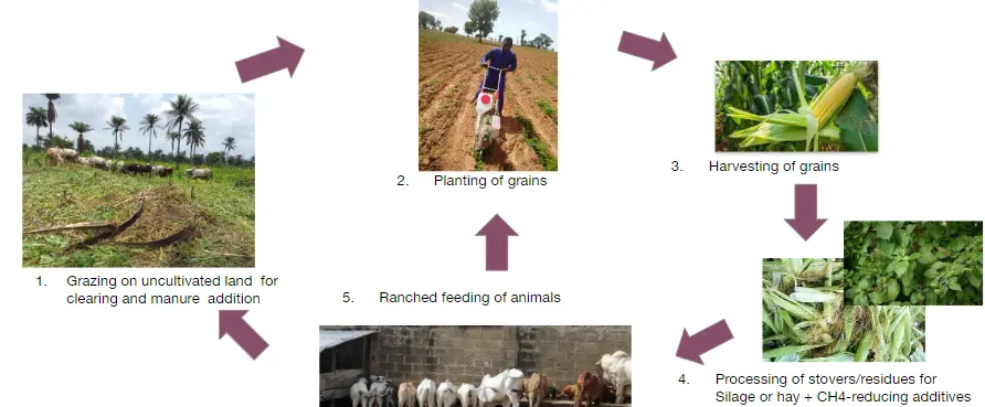 Farming-as-a-Service Platform | Foodlocker